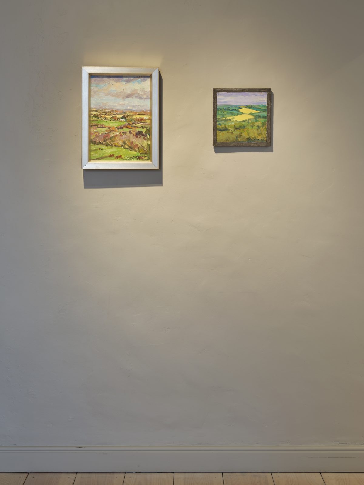 Philippa Bayliss. Painter. – Irish Artist